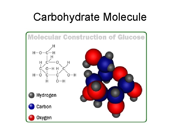 Chemicals of Life Carbohydrates Sugar Starch Cellulose Glycogen