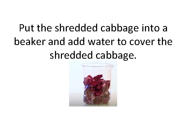 Red Cabbage Indicator Glossary Pigment a material that