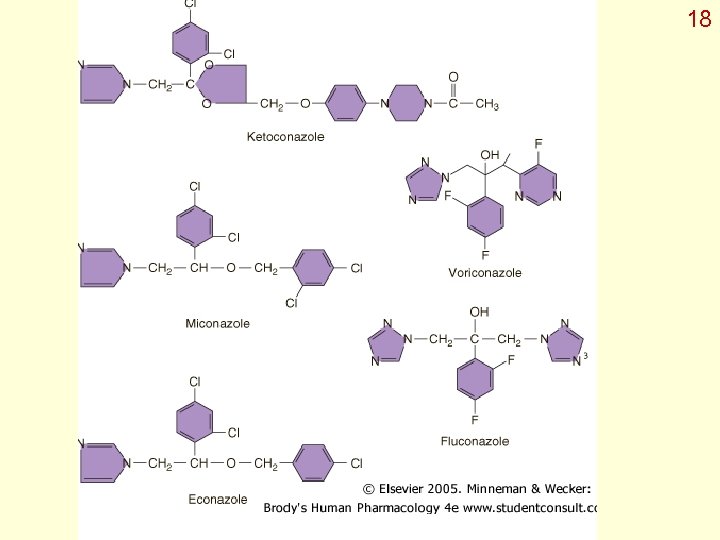 Folic acid inhibiting drugs Sulfonamides sulfa drugs Early