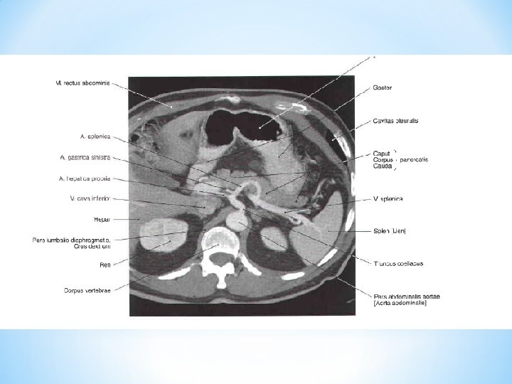 HEPAR Facies diaphragmatica pars superior area nuda pars