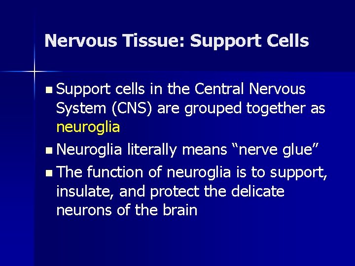 Histology of Nervous Tissue Neuroglia n Neurons n