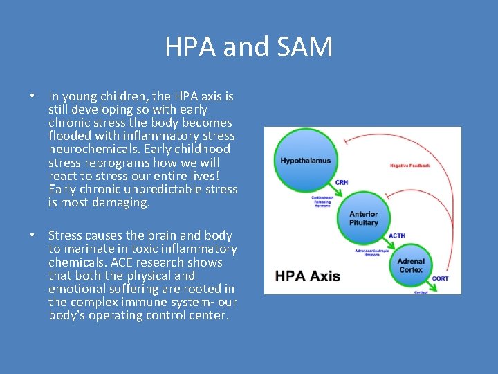 Behavior and Discipline With Students and Adversity All