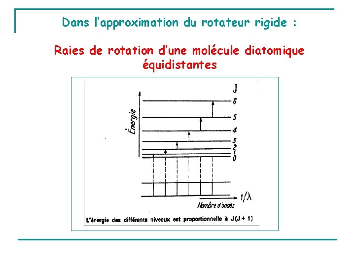 CHAPITRE II SPECTROSCOPIE DE ROTATION PURE I INTRODUCTION