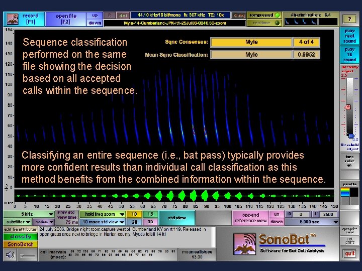 Automated species classification with Sono Bat 3 Sono