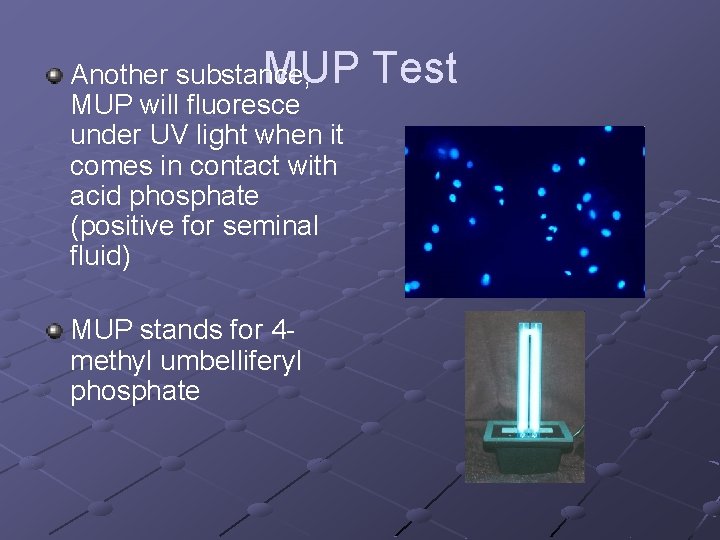 Forensic Characterization of Semen Testing for Seminal Stains