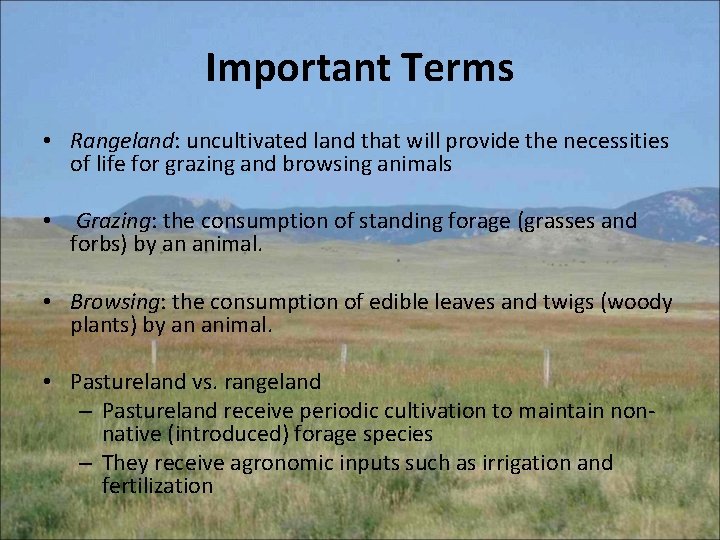 Sustainable Rangeland Management Rocky Lemus Extension Forage Specialist