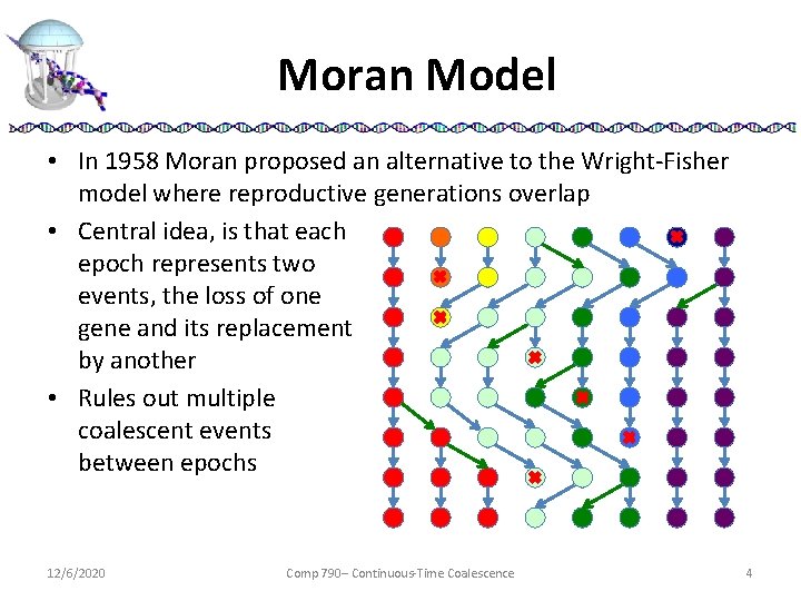 Effective Population Size Real populations dont satisfy the