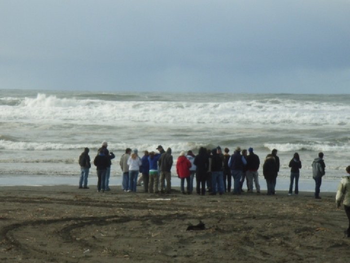 Beaches and Coastal Environments of Washington Southern WA