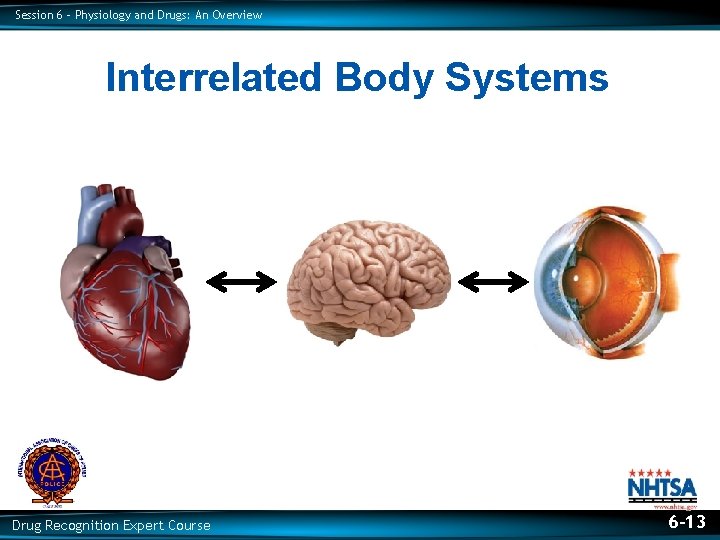 Session 6 Physiology and Drugs An Overview 120