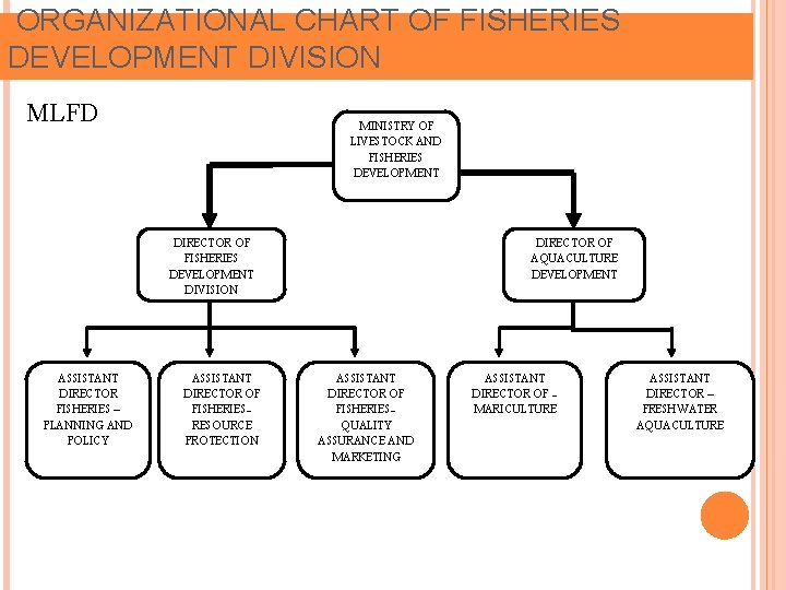 AN OVERVIEW OF THE FISHERIES SUB SECTOR ACHIEVEMENTS