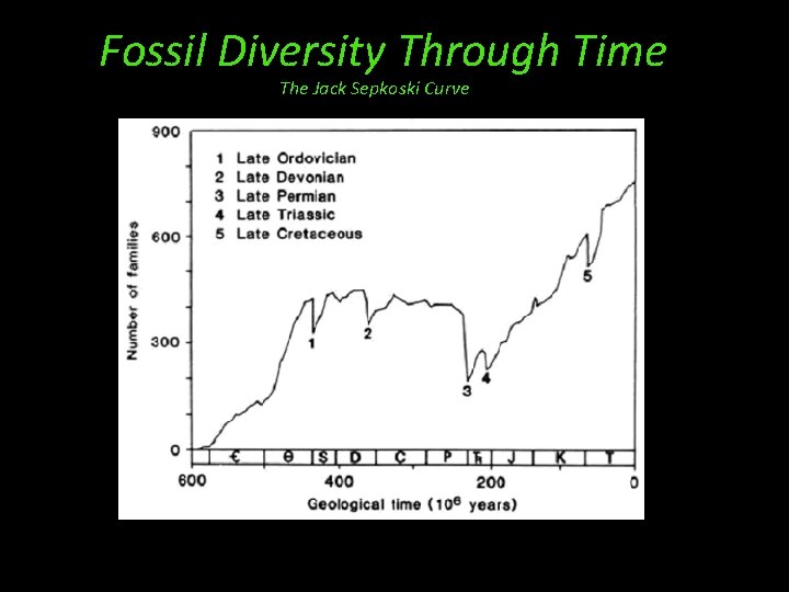 RangeThrough Chart and Diversity Curve Lab Dr Kate