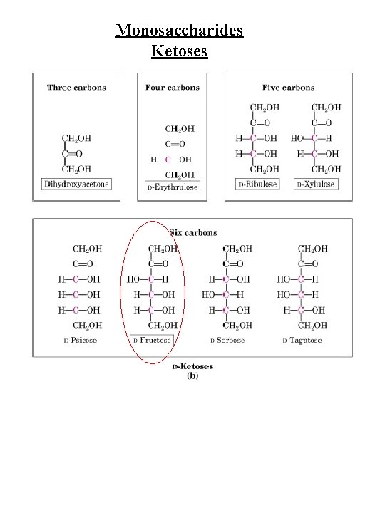 Carbohydrates What are they Formula CH 2 On