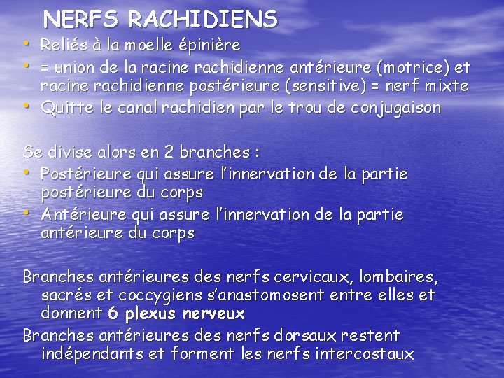 SYSTEME NERVEUX PERIPHERIQUE Constitu des 12 paires de