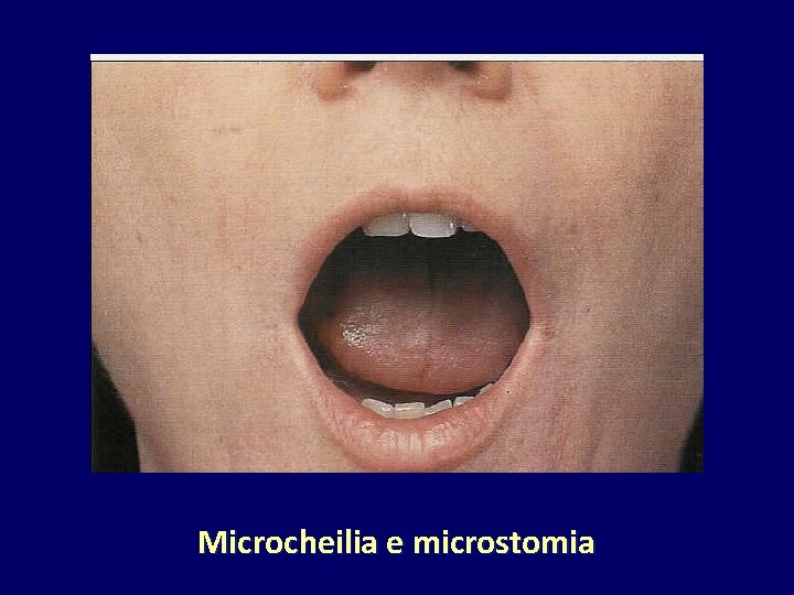 Clinica e Laboratorio Un percorso comune tra appropriatezza