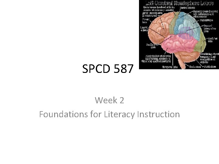 SPCD 587 Week 2 Foundations for Literacy Instruction