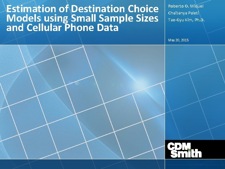 Estimation of Destination Choice Models using Small Sample