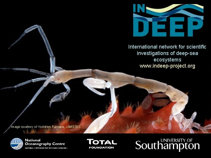 International network for scientific investigations of deepsea ecosystems