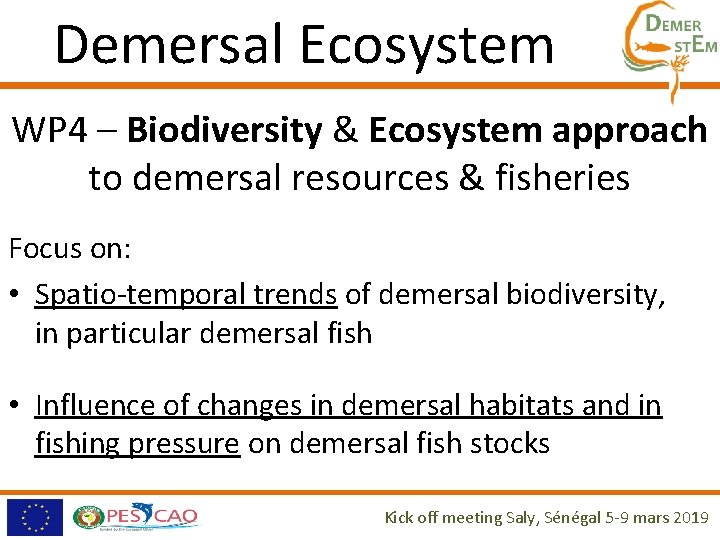 Demersal Ecosystem WP 4 Biodiversity Ecosystem approach to