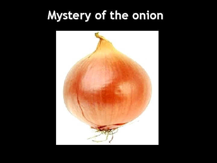 Mystery of the onion In 1919 when the
