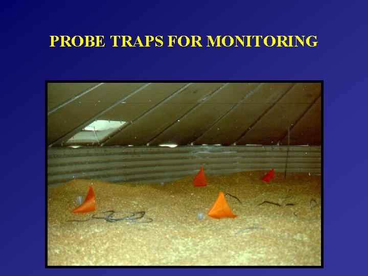 STORED PRODUCT INSECTS INTEGRATED PEST MANAGEMENT A RESEARCHERS