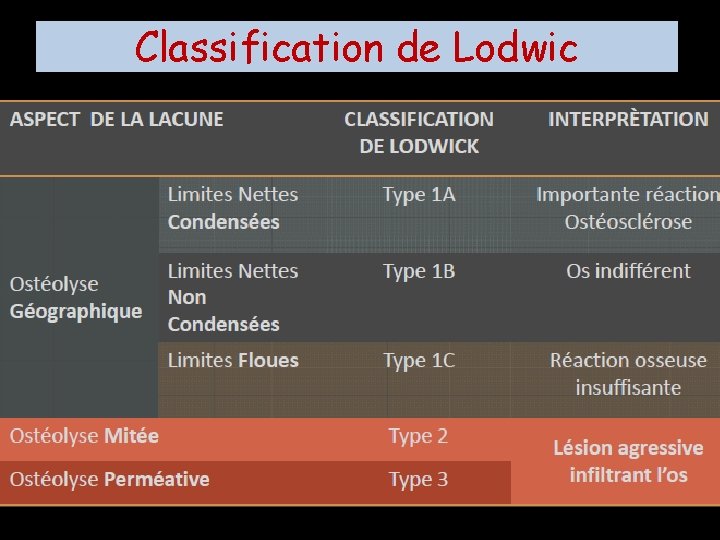 LACUNES OSSEUSES CR NIENNES Dr A HASSI Dr