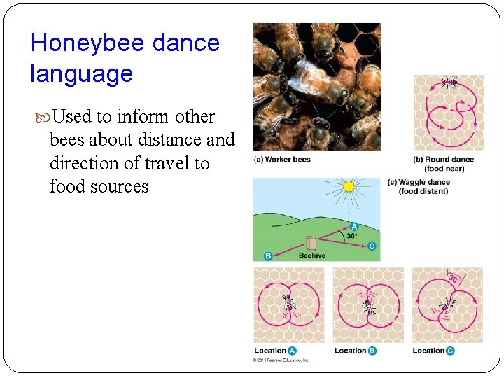 Ch 52 Review Names the biomes labeled af