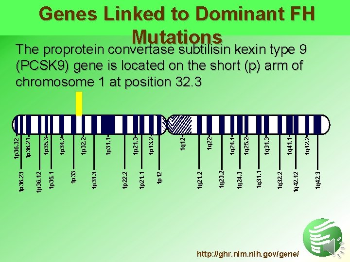 Familial Hypercholesterolemia FH Mechanisms William Cromwell MD Chief