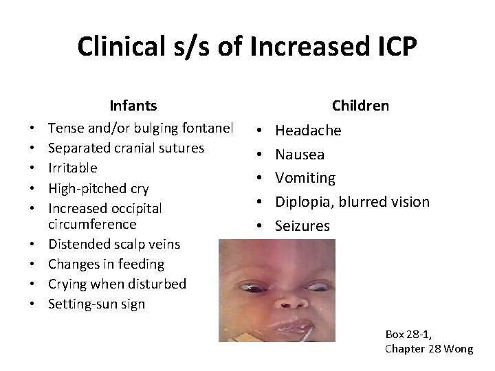 Cerebral Dysfunction Lauren Walker RN BSN Georgetown University