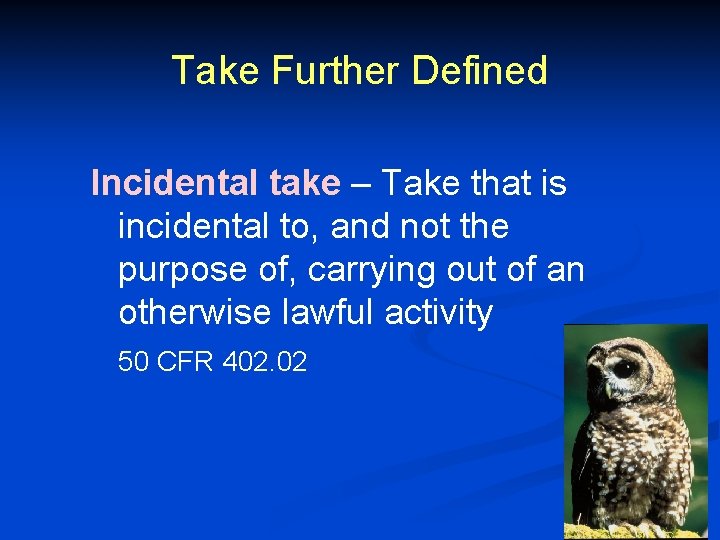 Endangered Species Act A Compliance Overview Endangered Species
