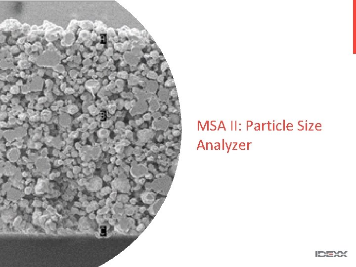 What is My MSA Really Telling Me Lisa