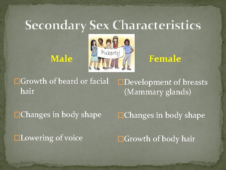 Human Reproduction UPCO Chapter 21 Puberty Human reproduction
