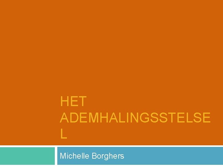 HET ADEMHALINGSSTELSE L Michelle Borghers Afspraken VINGER OPSTEKEN