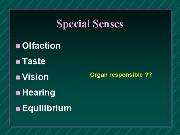 Chapter 18 General Special Senses 1 Chapter objectives