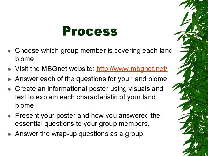 Land Biomes 5 th Grade Presented by Todd
