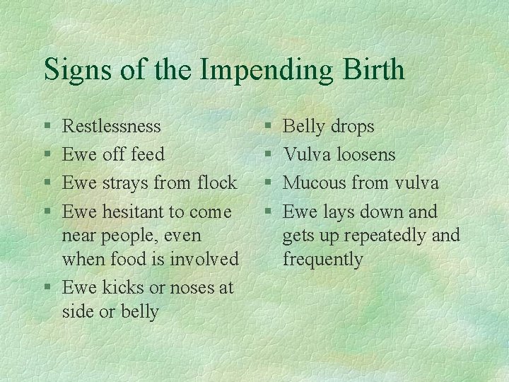 Pre and Post Lambing Care Karen Hutchinson Virginia