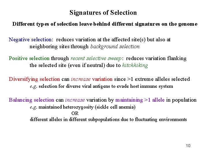 The Neutral Theory M Kimura 1968 Most observed