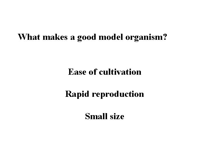 Introduction to C elegans and RNA interference Why