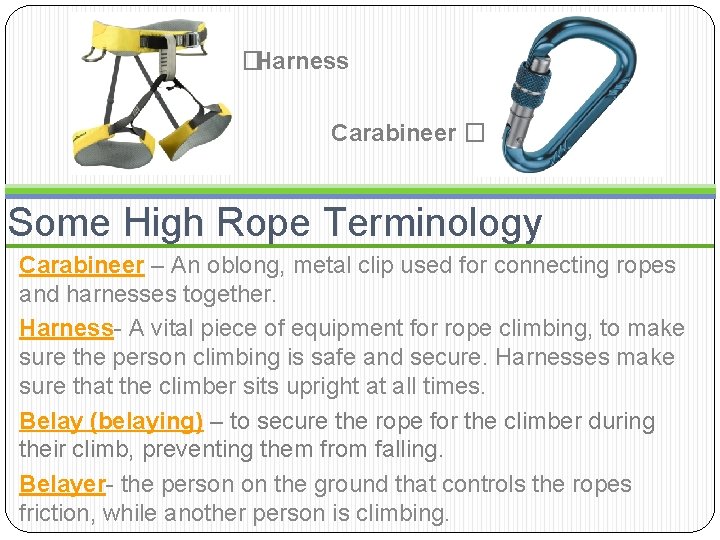 Ropes Courses By Nichole Race Low Ropes Course