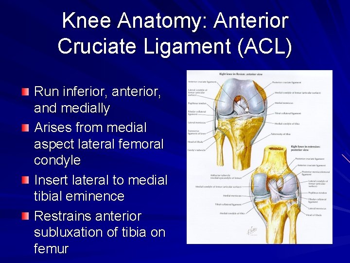Evaluation of Knee Injuries Dr Alan A Zakaria