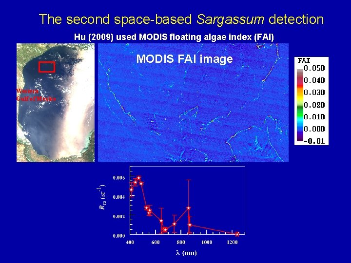 Sargassum Watch from Space Chuanmin Hu Brock Murch