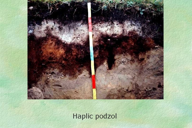 clasificacin del suelo MAPA DE SUELOS DEL MUNDO