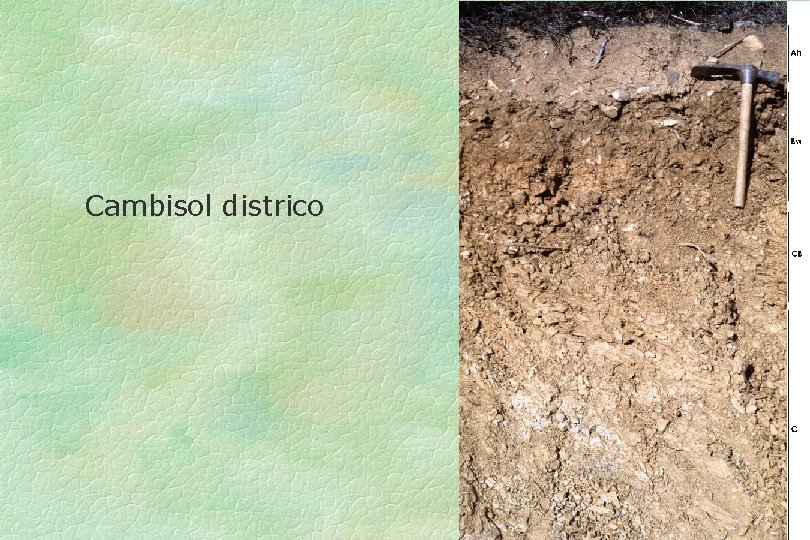 clasificacin del suelo MAPA DE SUELOS DEL MUNDO