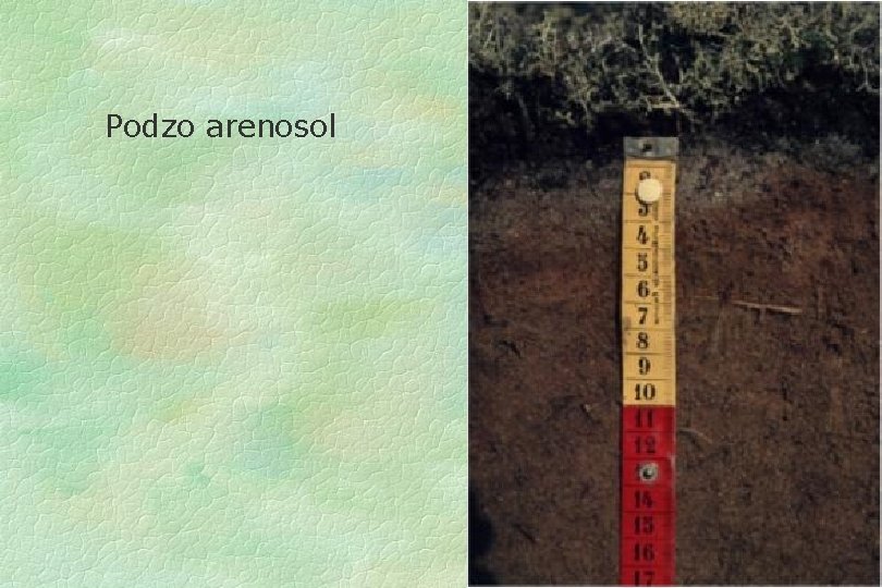 clasificacin del suelo MAPA DE SUELOS DEL MUNDO