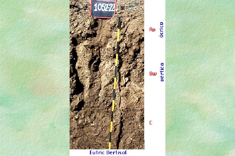 clasificacin del suelo MAPA DE SUELOS DEL MUNDO