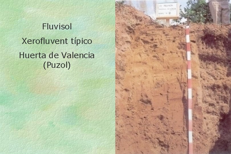 clasificacin del suelo MAPA DE SUELOS DEL MUNDO