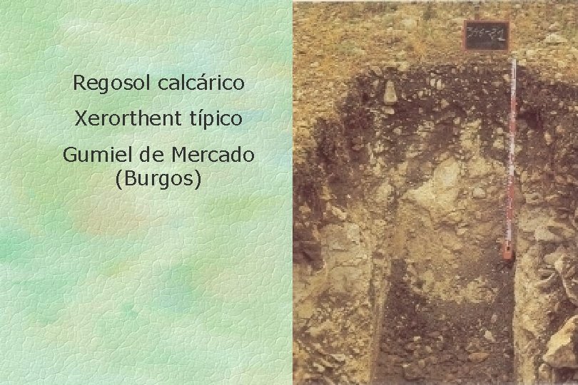 clasificacin del suelo MAPA DE SUELOS DEL MUNDO