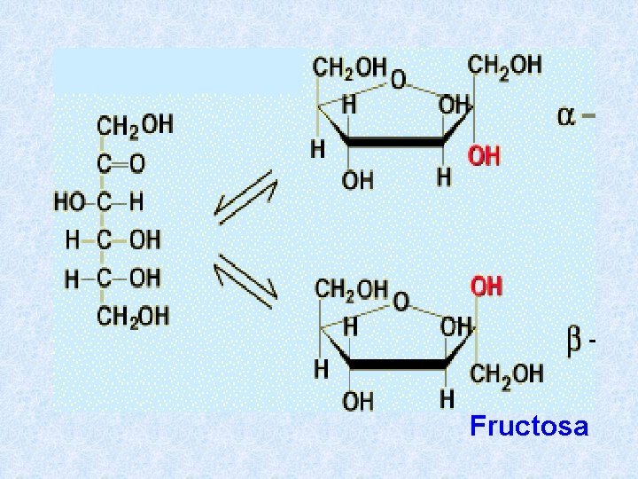 Azcares Glcidos Carbohidratos o Hidratos de Carbono Constituido