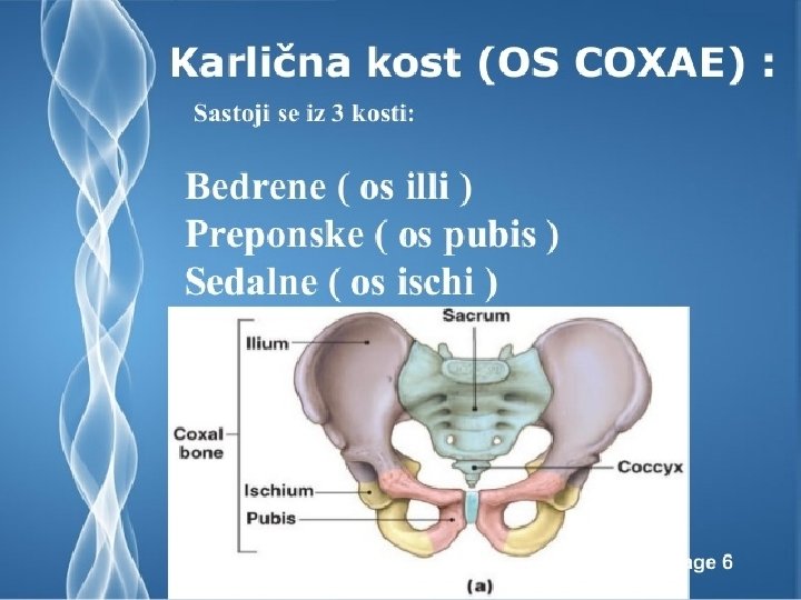 NASTAVNI PREDMETREHABILITACIJA U SPORTU XIII PREDAVANJE Specifinosti ...