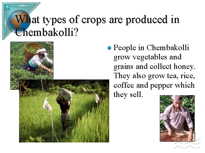 What types of crops are produced in Chembakolli