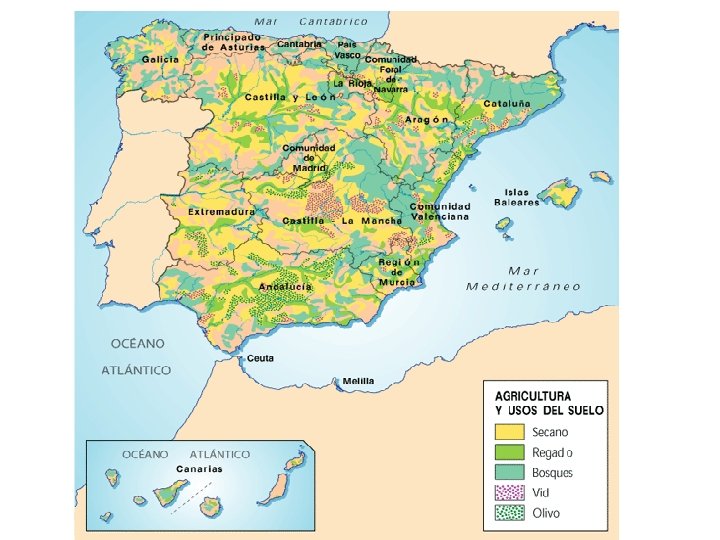ACTIVIDADES ECONOMICAS EN ESPAA EL SECTOR PRIMARIO AGRICULTURA